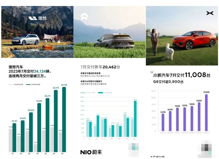 In The Knockout in July, everything Xiaoli Wei boasted about came true - iNEWS