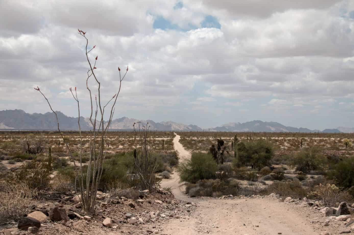 Devil's Way Originating from the Native American Trail - iNEWS