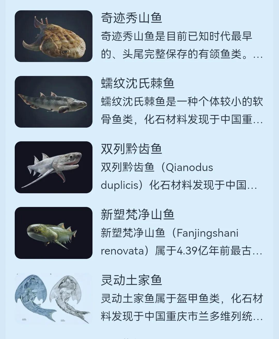 Uncover the unprecedented dialogue "from fish to man" more than 500 ...