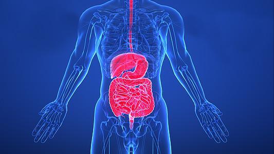 What changes will happen to a man's body if he does not drink alcohol ...