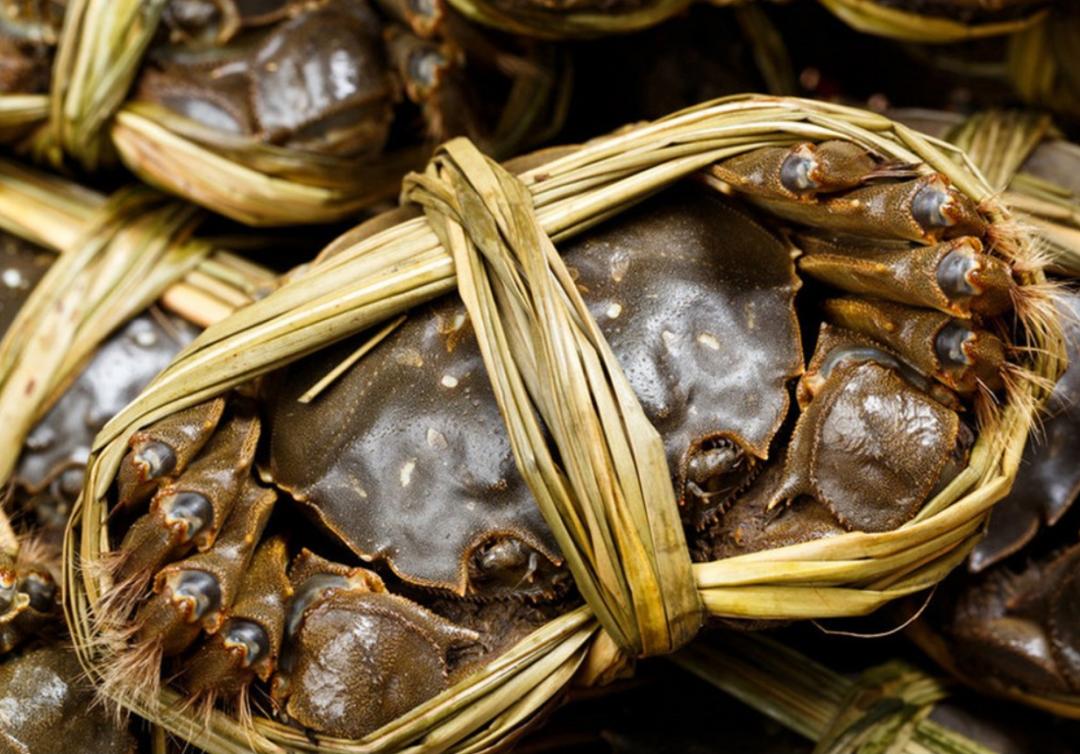 It's almost mid-autumn eating crab season!What is the significance of ...