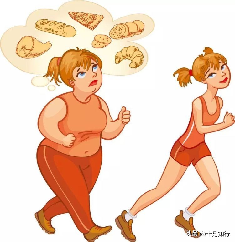 Understand the different stages of fat loss, make targeted adjustments ...