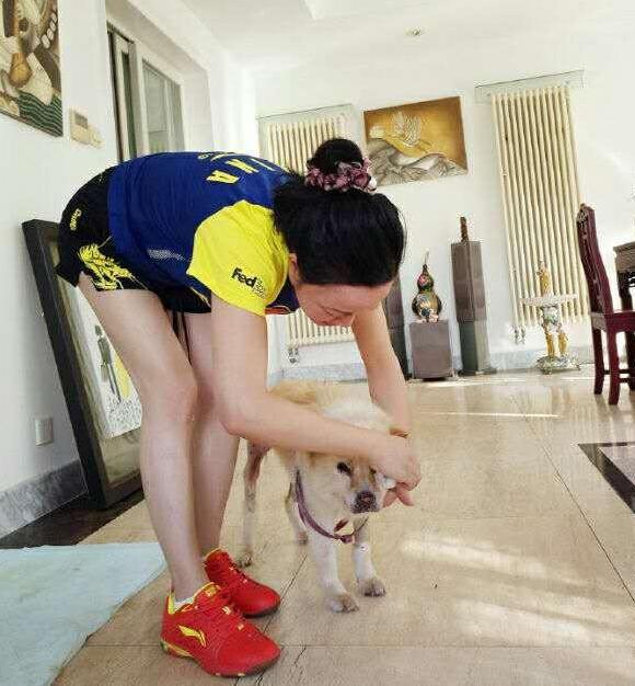 Sunshine Liu Xiaoqing's mansion, living like the queen every day, no ...