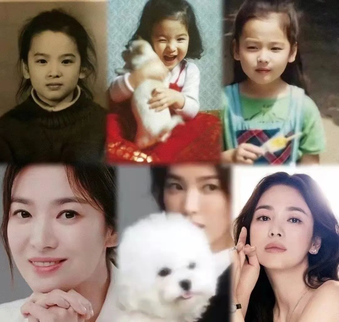 What about Song Hye Kyo, Chen Qiaoen, Tang Yan and Guo Caijie who ...