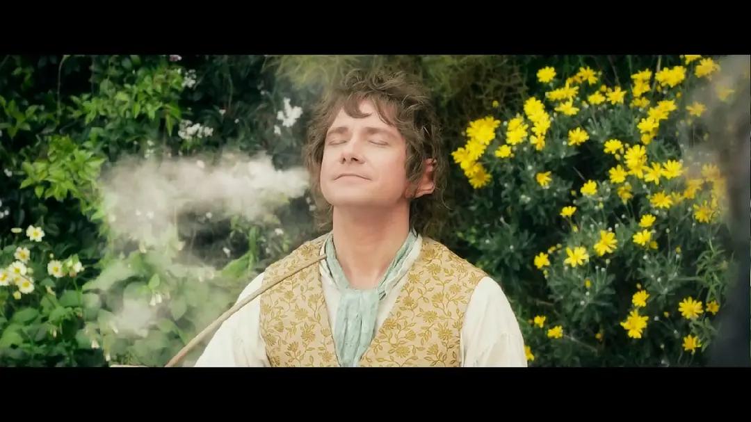 Favorite place in the movie?I choose The Lord of the Rings The Hobbit ...