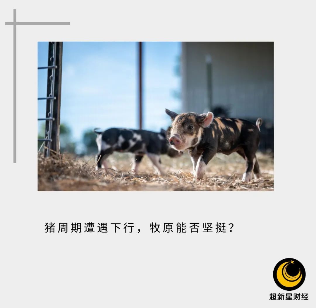 "Pigma" Muyuan suffered two heavy blows: Qin Yinglin received a ...