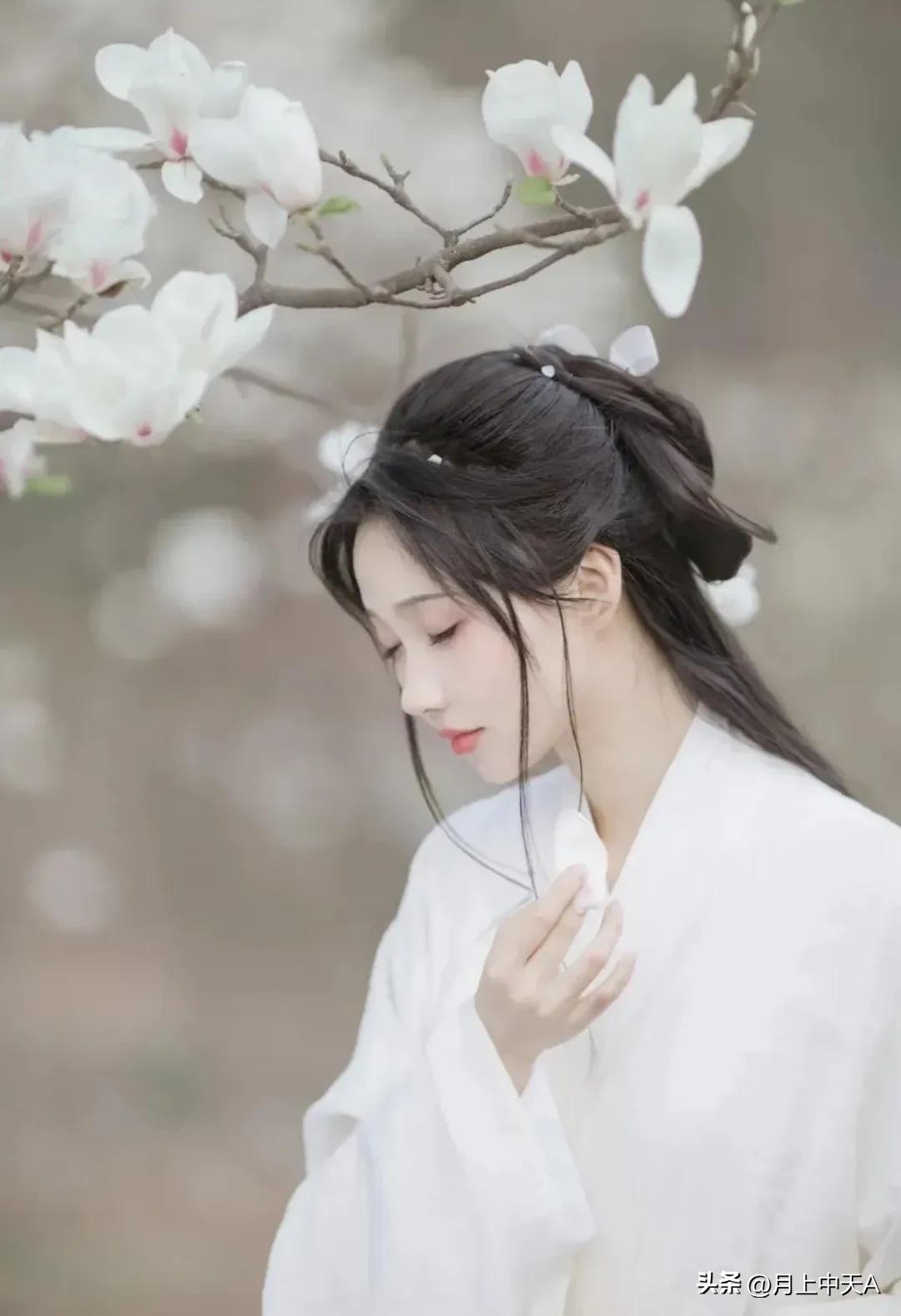 Ruan Langgui: The Seven Poems of Ci Lin Zhengyun - iMedia