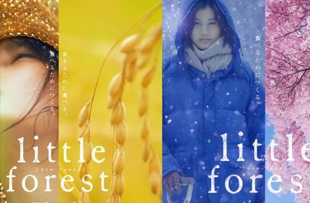 A Brief Analysis of the Theme and Significance of the Movie "Little ...