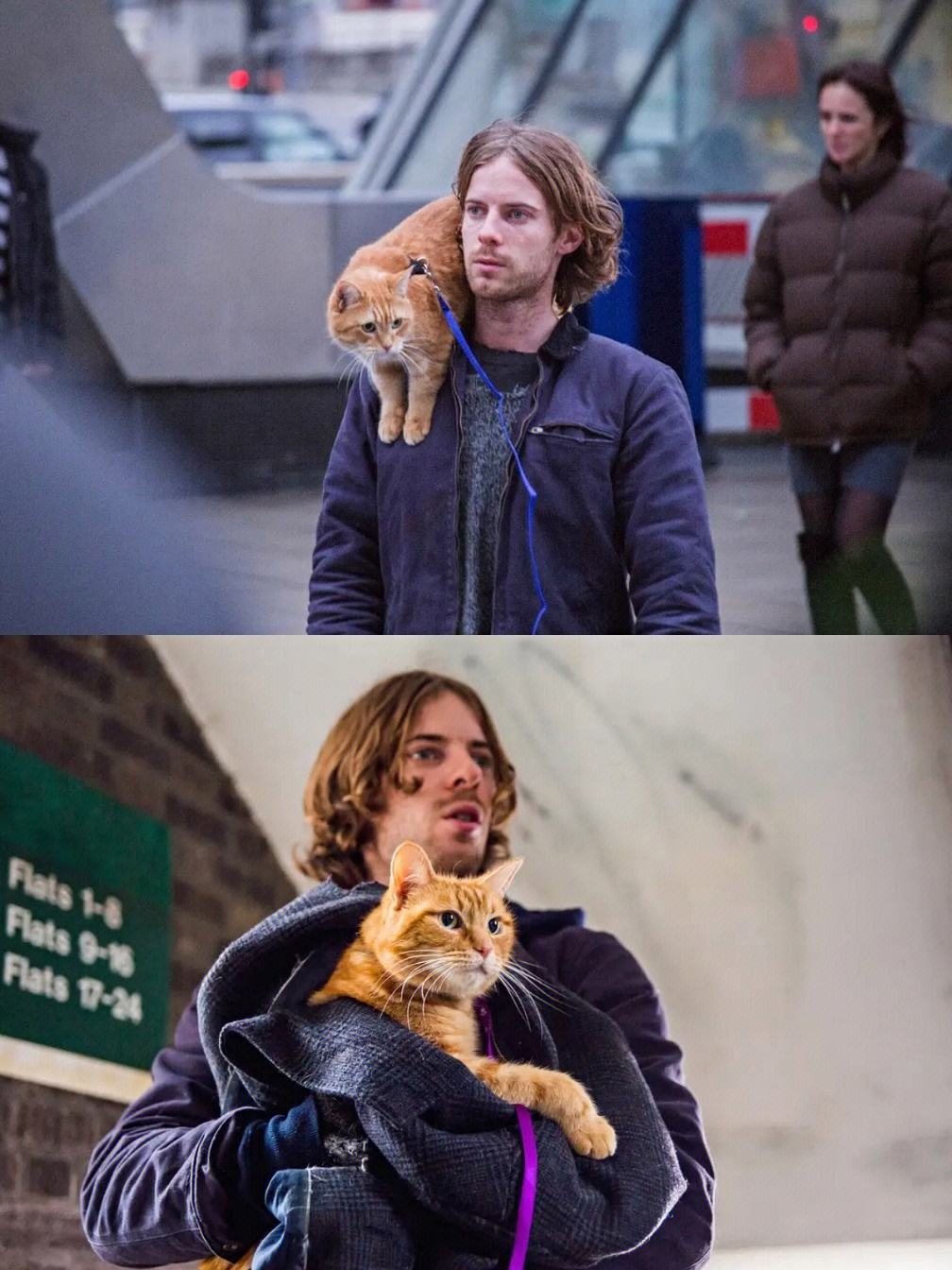 The redemption between stray cats and homeless people, one person, one ...