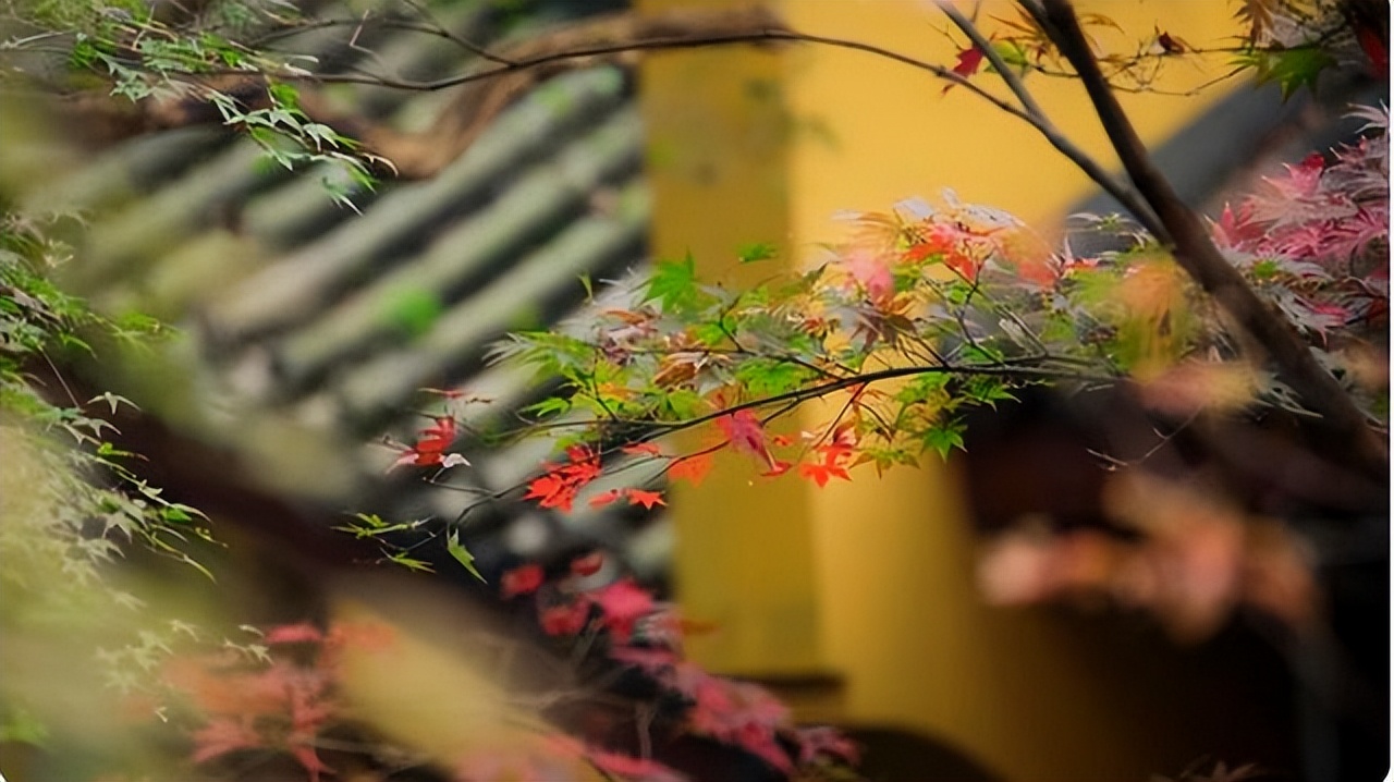 "Su Shu": Waiting is also a strategy to adapt to the overall situation ...