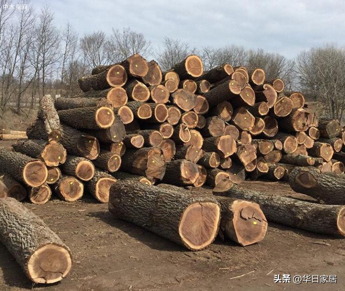 How to choose black walnut furniture?One article teaches you to ...