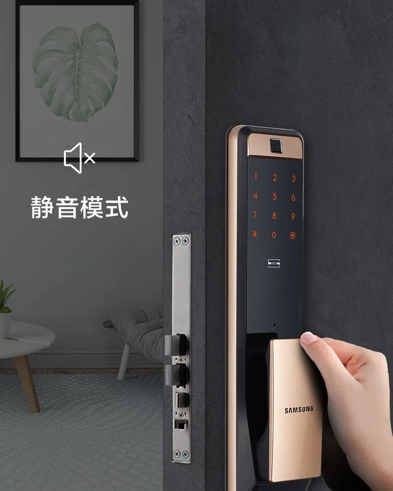 The "Smart Moment" of Samsung Smart Locks - Peace of Mind - iNEWS