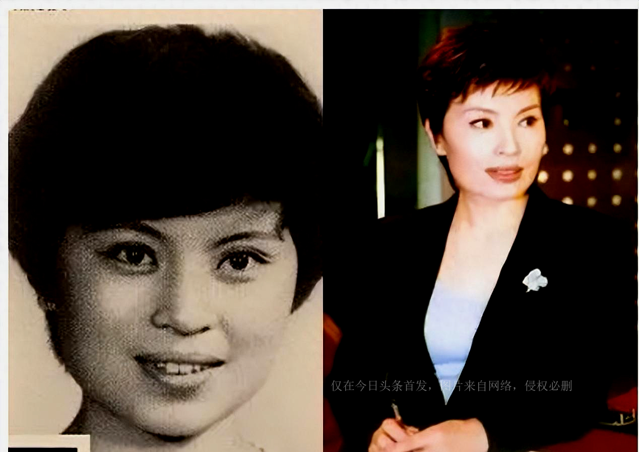 CCTV host Li Ruiying: 28 years of work without mistakes, son fell from ...