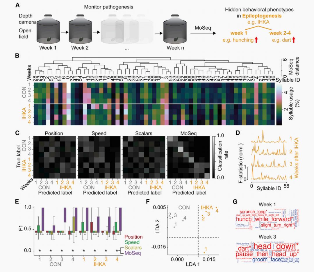 Neuron: Hidden Behavioral Phenotypes in Epilepsy Models - Analysis of ...