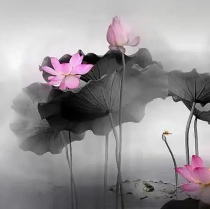 Self-cultivation is the most important thing in life - iMedia