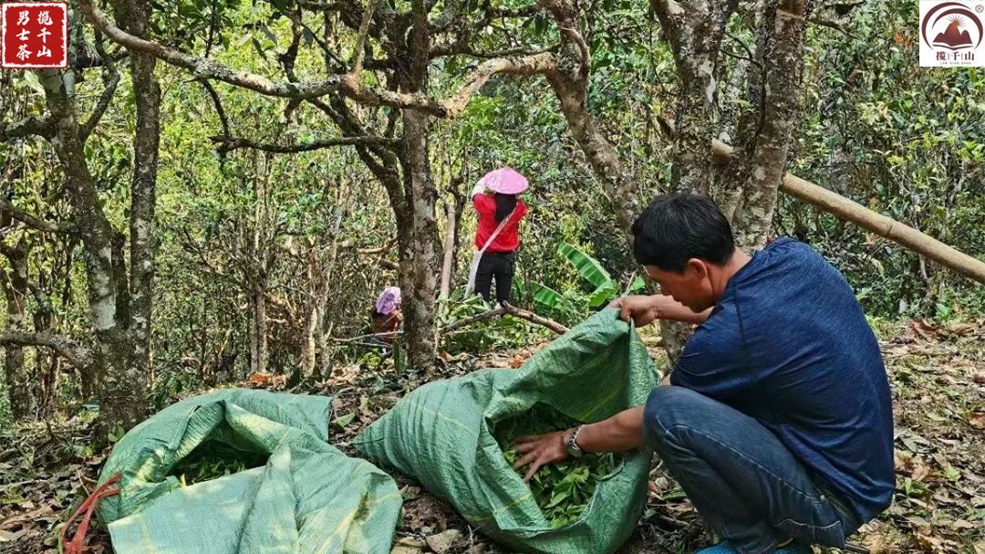 There are three heroes in Bangdong, and three treasures in Yongde! - iMedia