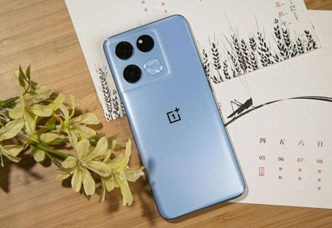 What brand is OnePlus and why is it so popular this year? - iNEWS