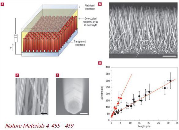Preparation and characterization of carbon-based nanocomposites and ...