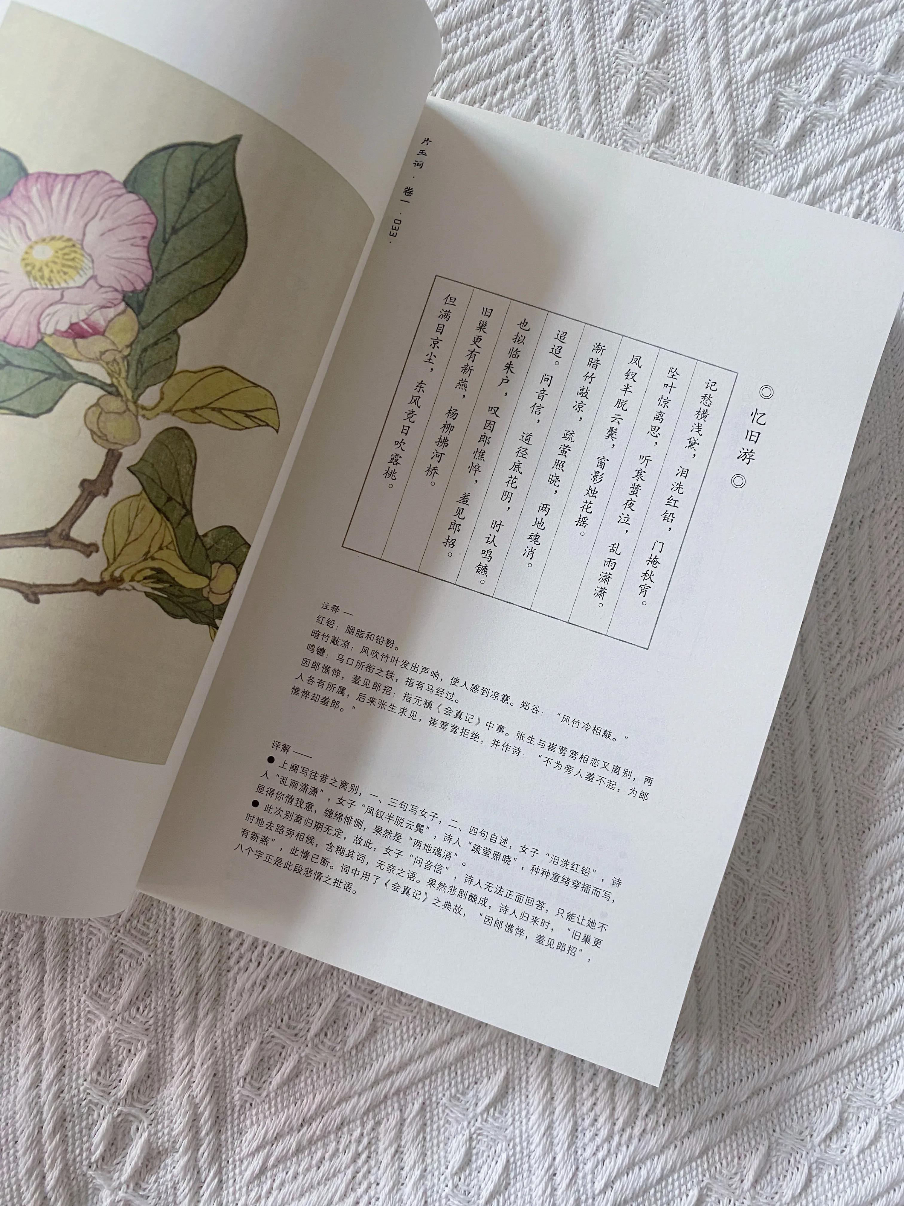 Beautiful Books, Beautiful Song Poems - iNEWS