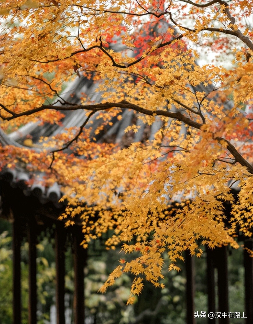 Autumn, the ancient town micro-vacation strategy - iMedia