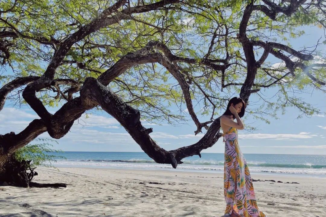 wenno: Eight years after her divorce from Chen He, Miss Leila lived ...