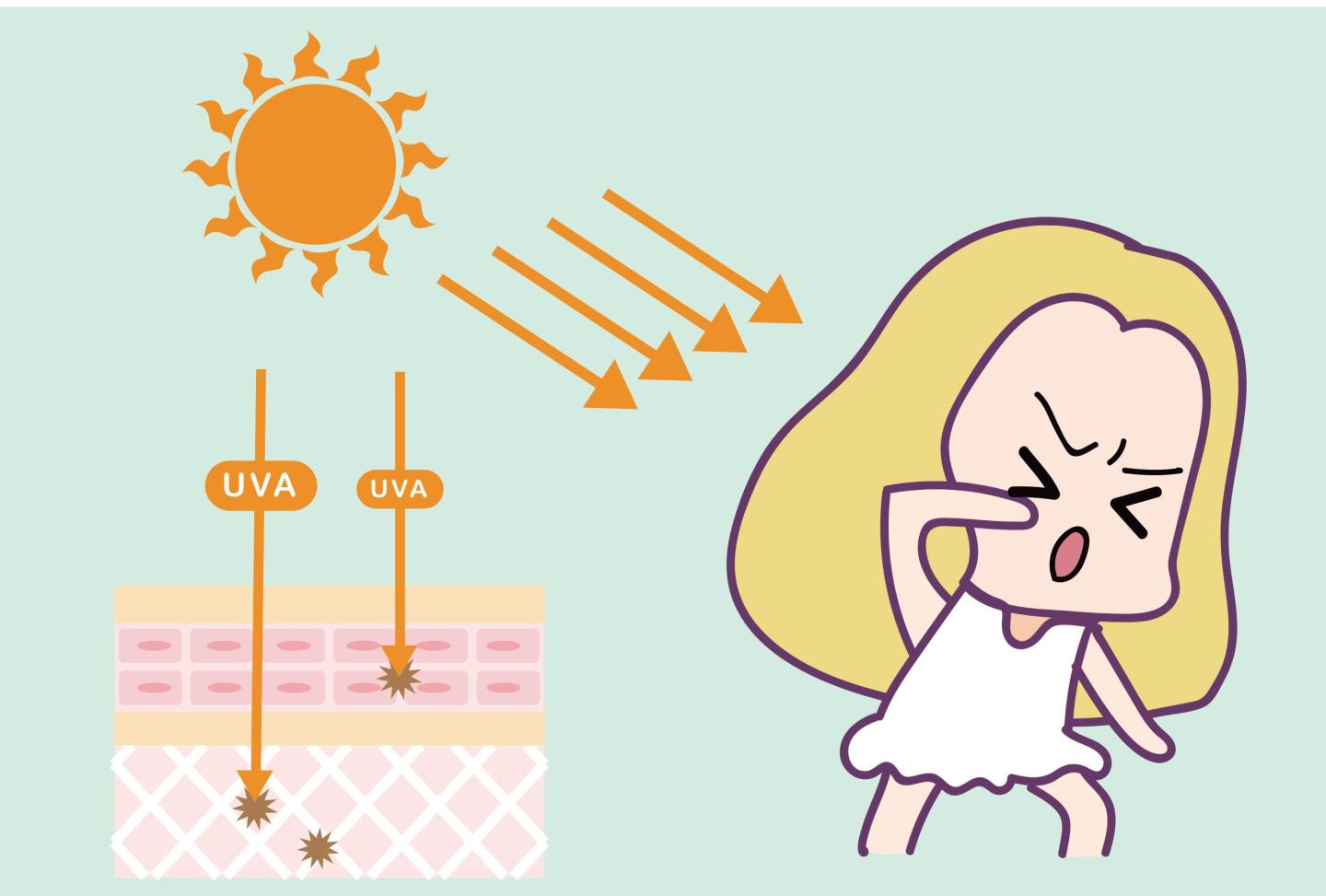 People who age quickly without sun protection turn out to be caused by ...