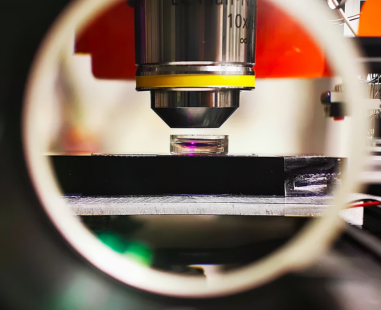 University professor Karolina Valente and the VoxCell she founded - iNEWS