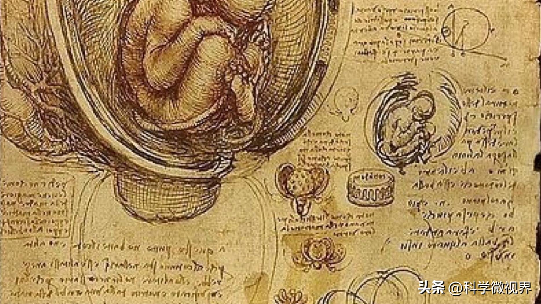 Did Da Vinci "travel" into the future?Mysterious disappearance for 2 ...