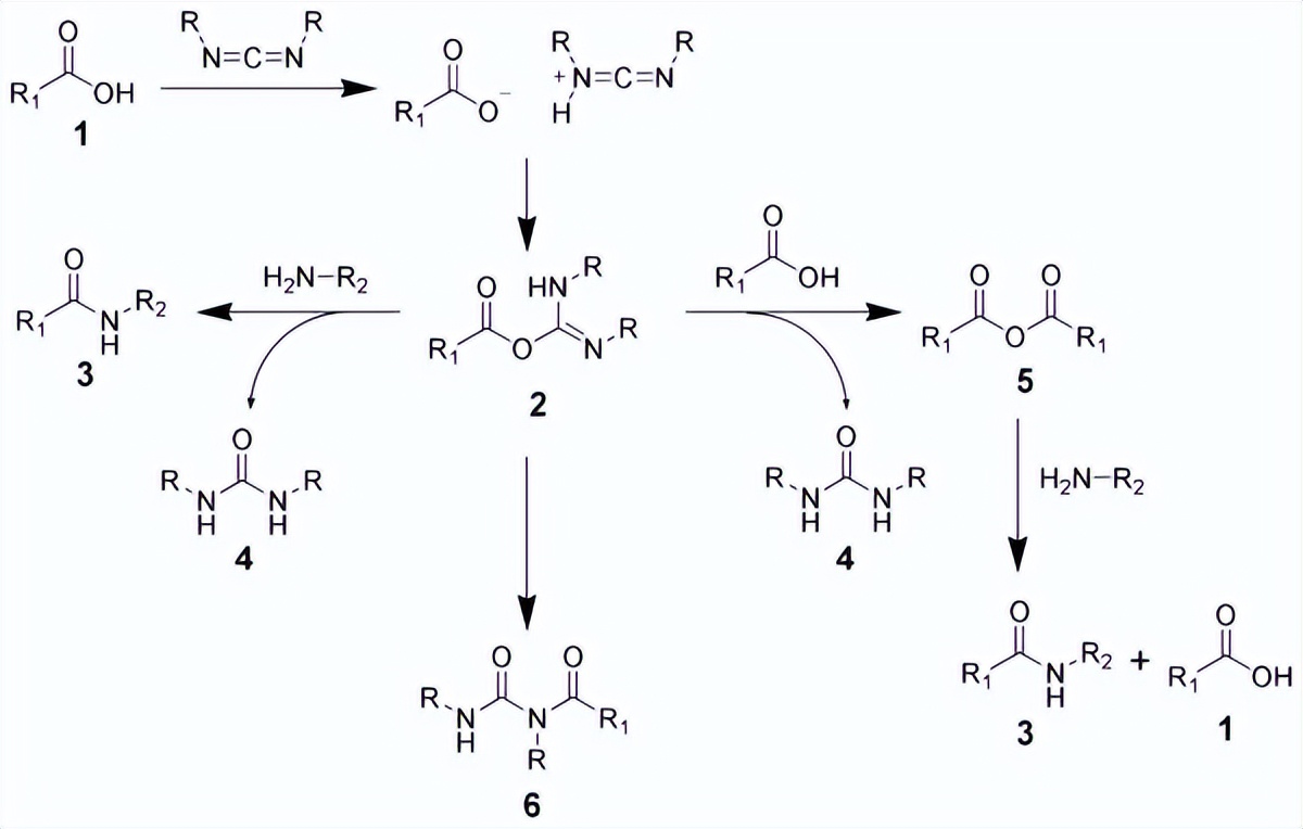 Carbodiimide ring-opening metathesis polymerization - iNEWS