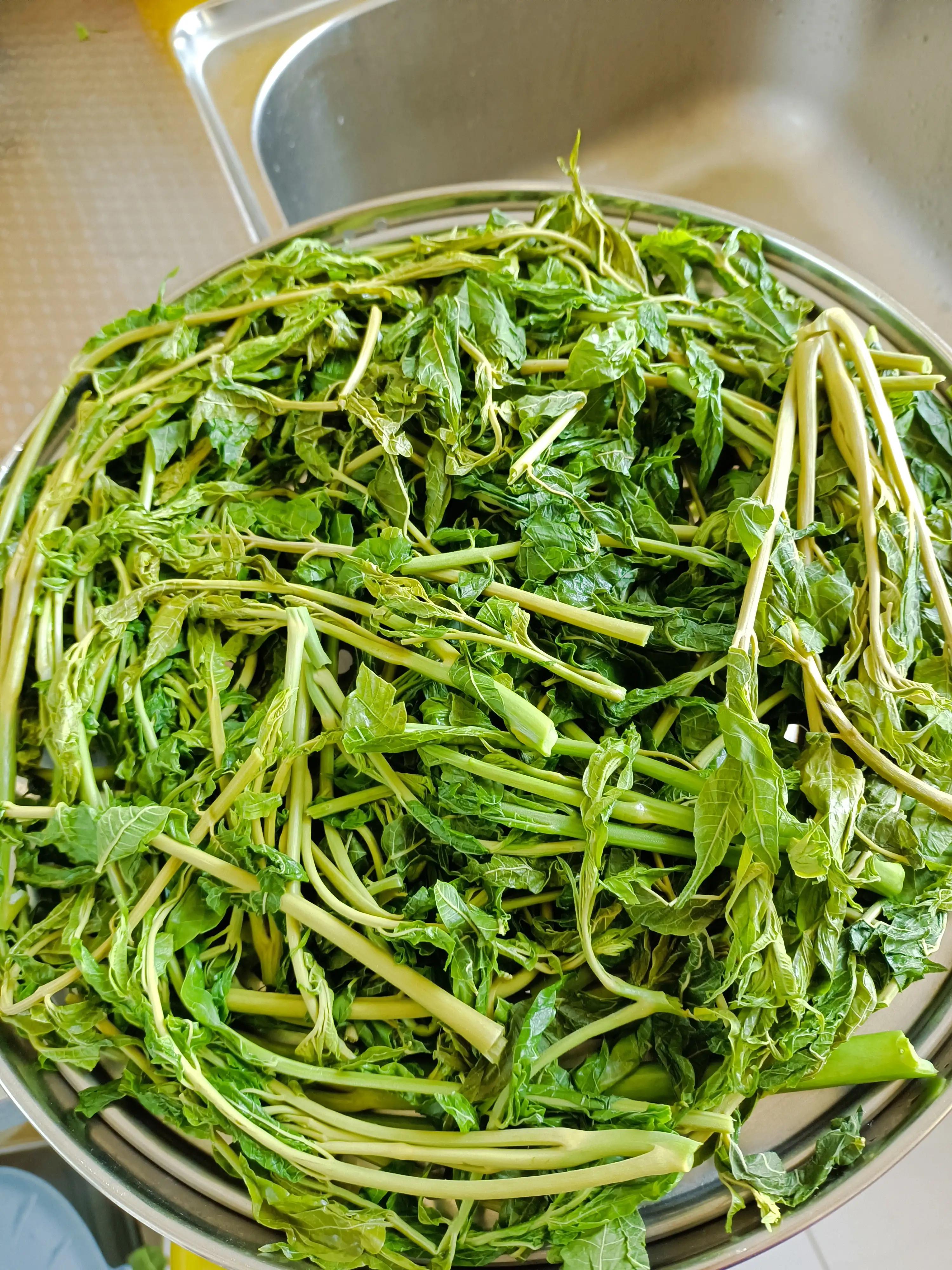 Production of Chun Ya Sauce - iNEWS