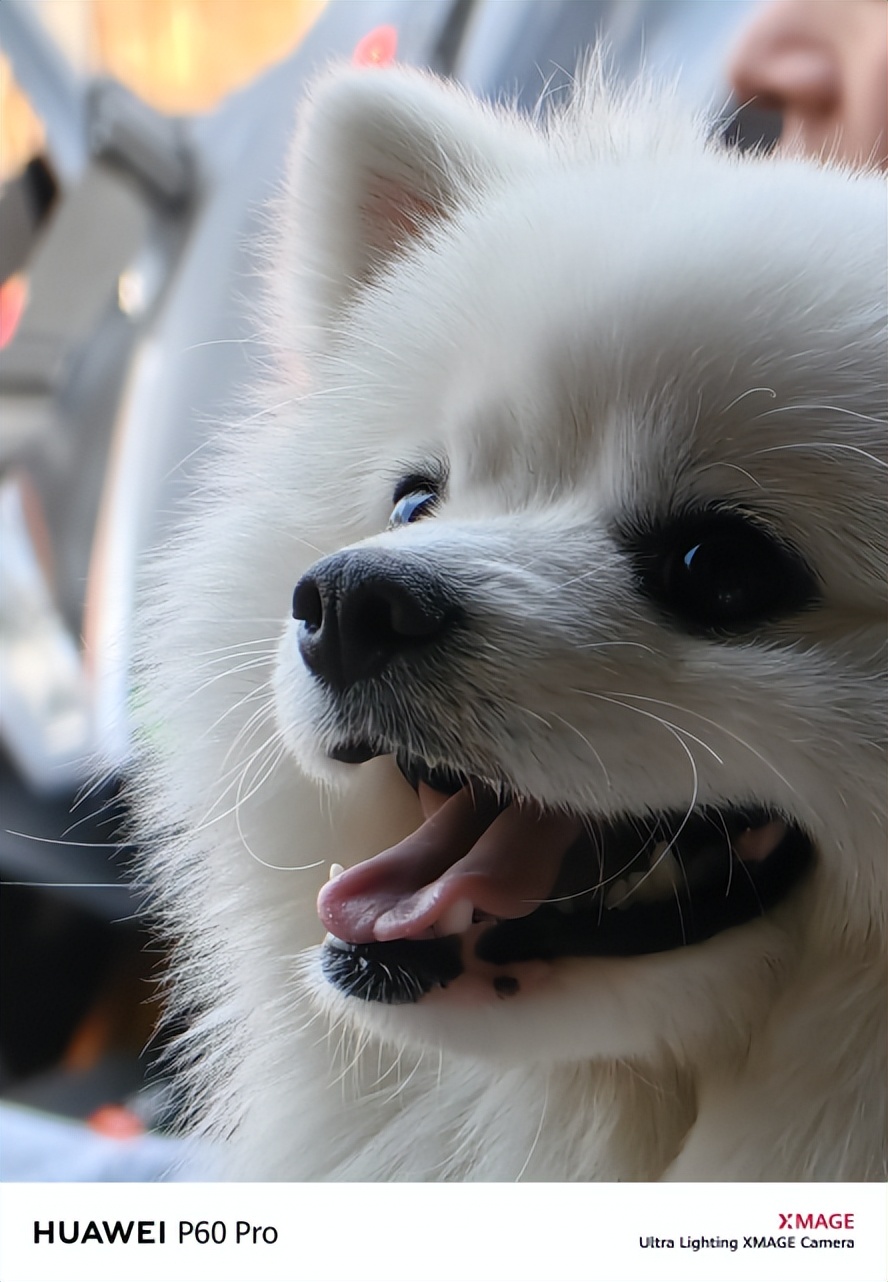 Huawei P60 Pro, ultra-concentrating night vision telephoto, a museum ...