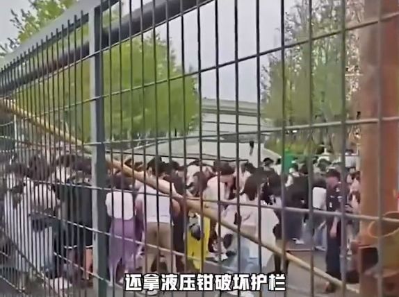 The scalper party in Wuhan demolished the fence to serve chili water to ...