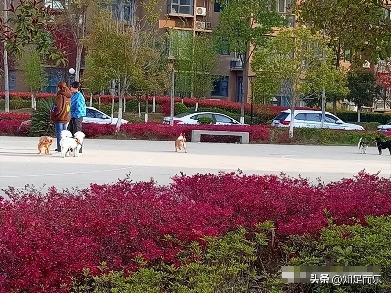 The most beautiful scenery in Suizhou City is hidden here - iMedia