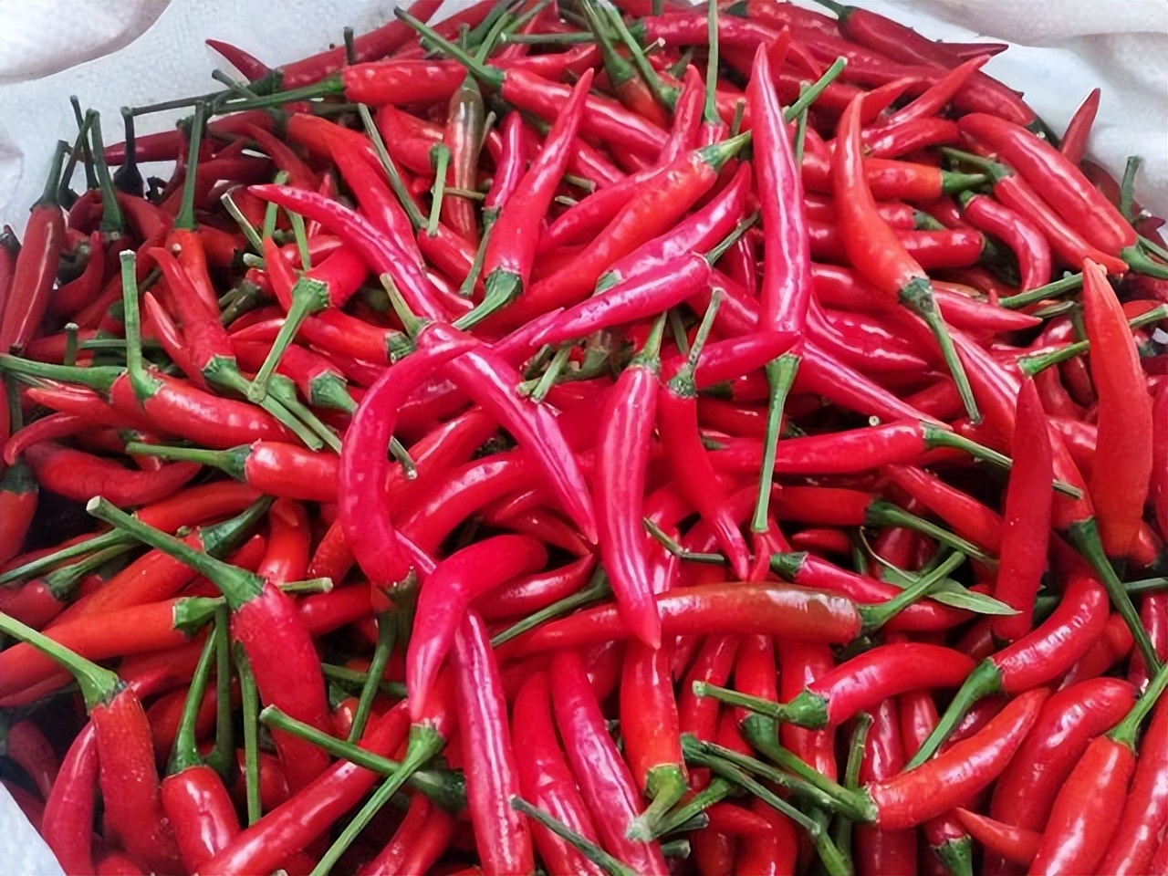 "The King of Rotten Stomach" may be found out, don't blame chili again ...