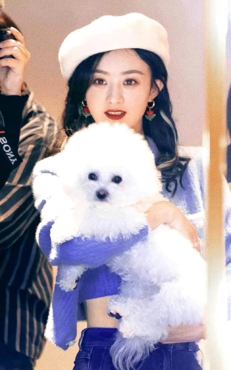 Zhao Liying's road to tiger and wolf - iNEWS