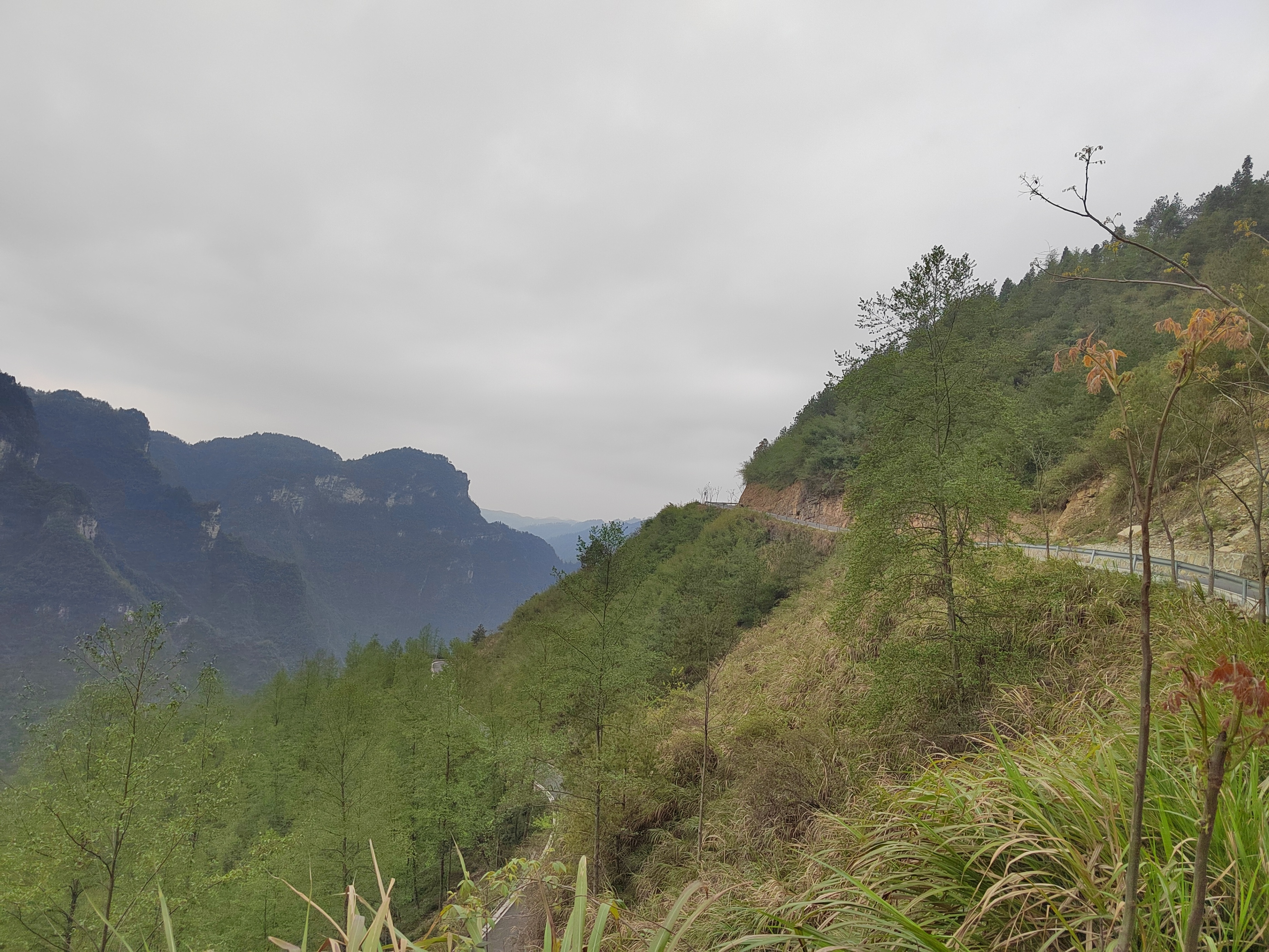 In 1795, Shi Sanbao, the king of Miao in western Hunan, killed Ming ...