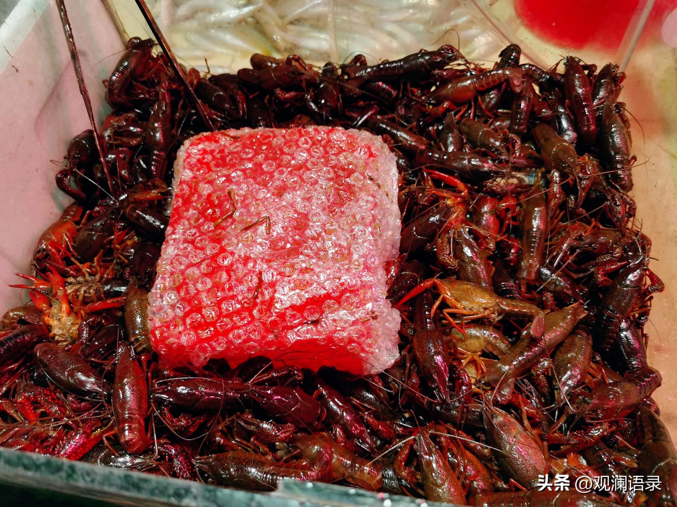 What are the common ways to eat crayfish? - iNEWS