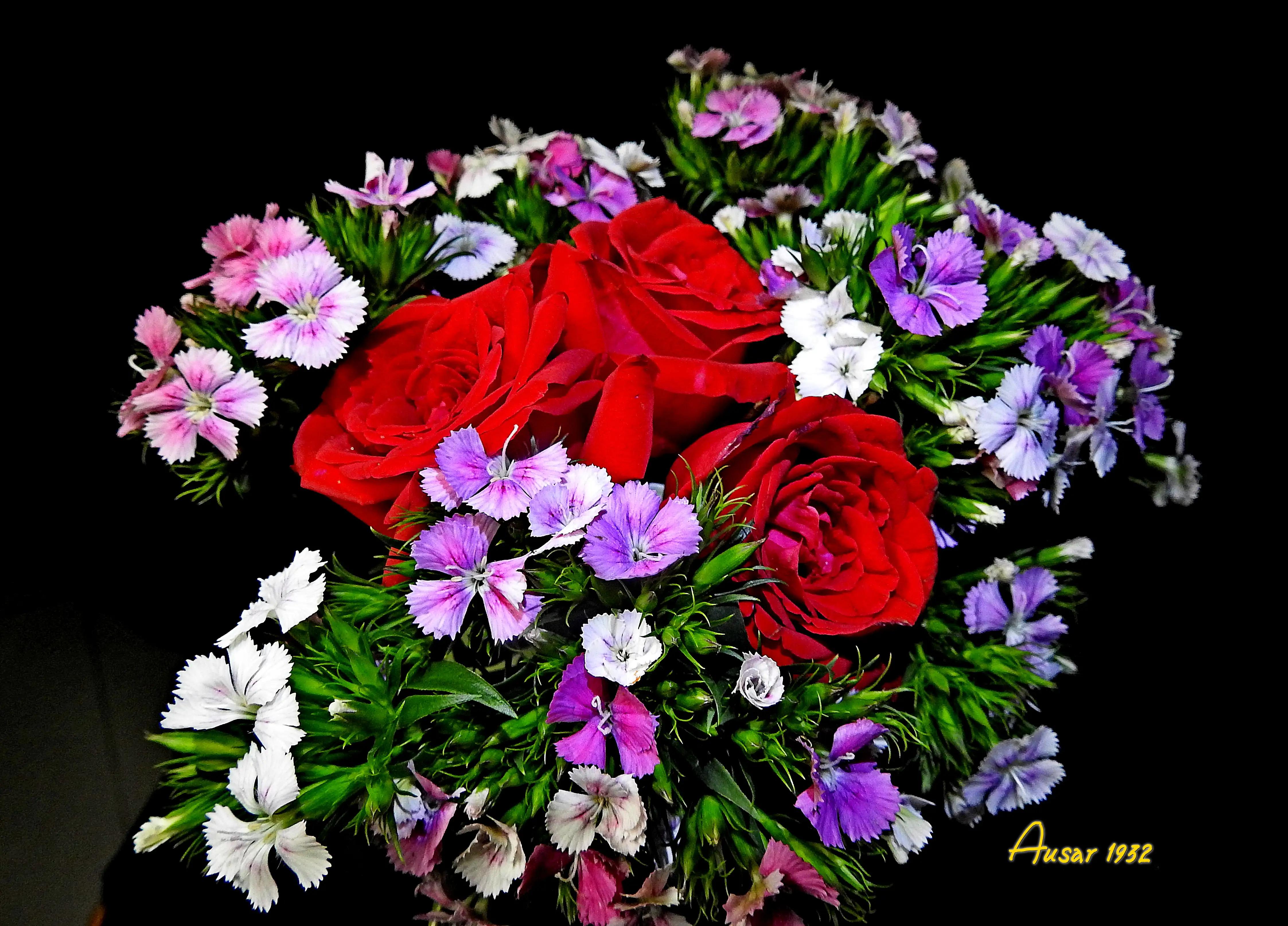 Dianthus multiflora and red roses, casual bouquet. - iNEWS