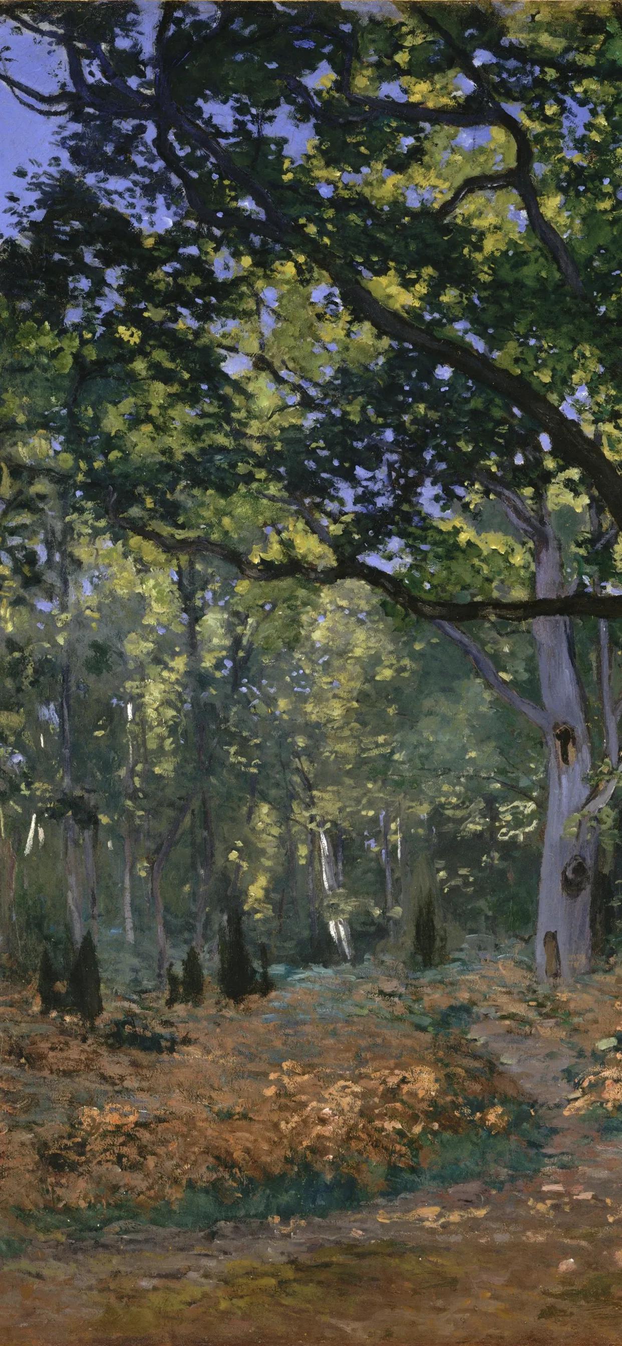 Monet's painting "The Forest of Fontainebleau" - iNEWS