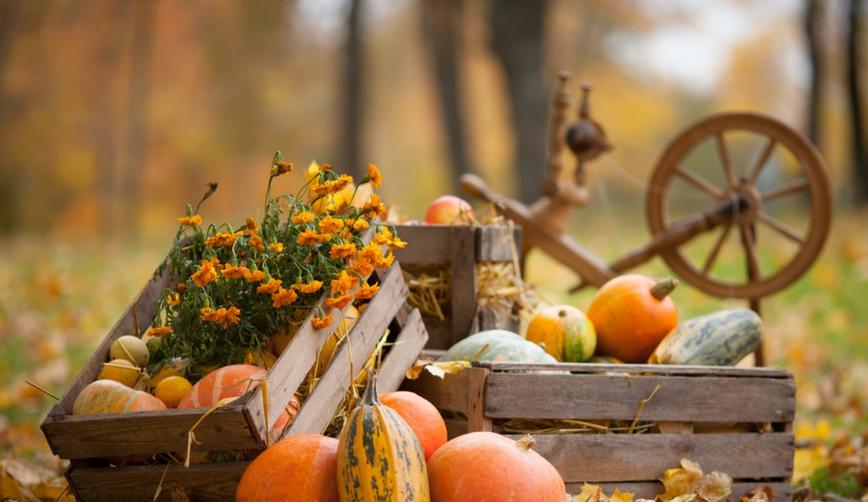 It's the beginning of autumn, remember to "stick autumn fat", 5 kinds ...