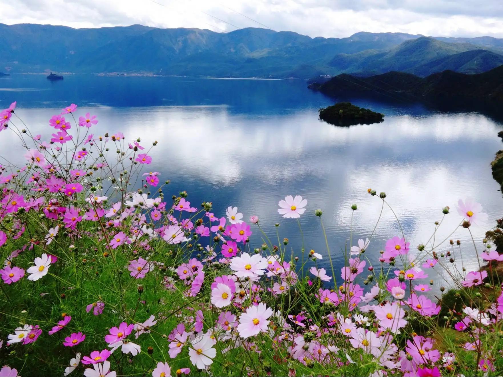 Tibet·Lhasa Scenery (Capital) - iMedia