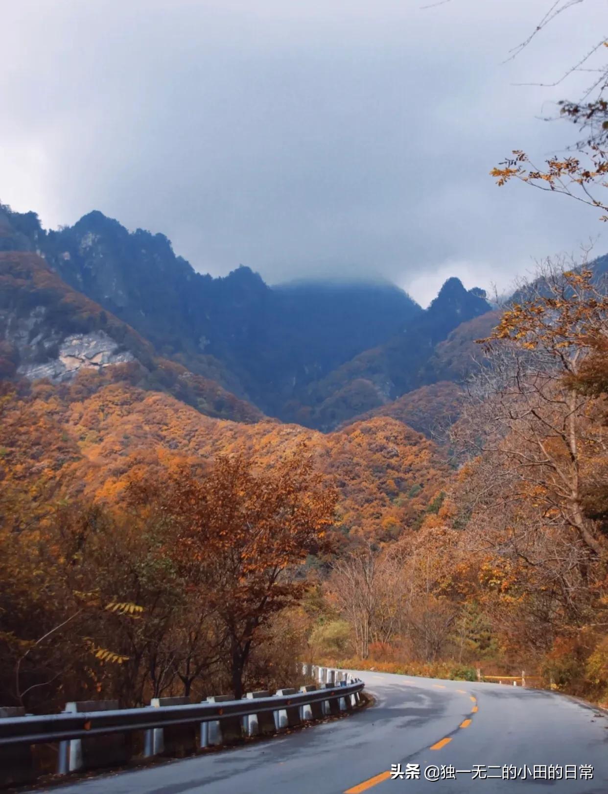 The most beautiful autumn and winter highway in Qinling-Gaojiang Road ...