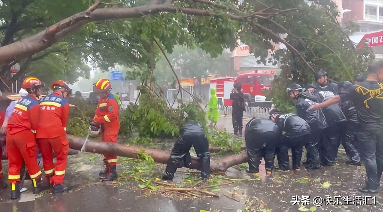 Song Zuer was scolded for making jokes about "natural disasters", and ...