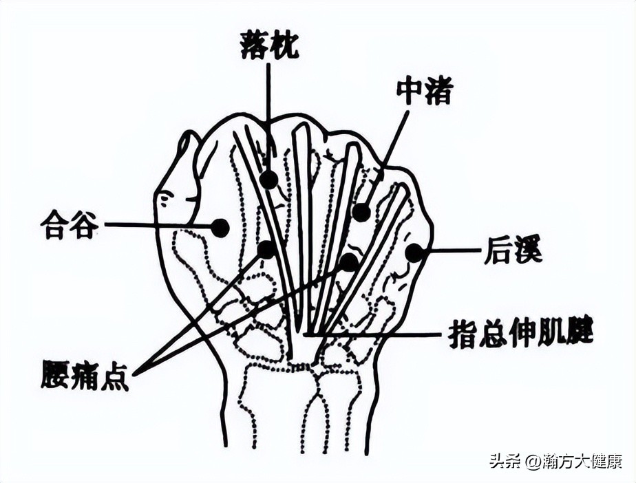 Two acupuncture points on the back of the hand can help you quickly ...