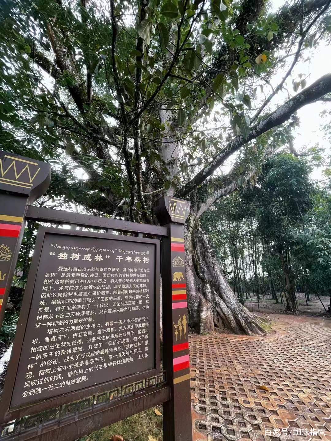 Visit Manyuan Village, Xishuangbanna's simple folk customs, this ...