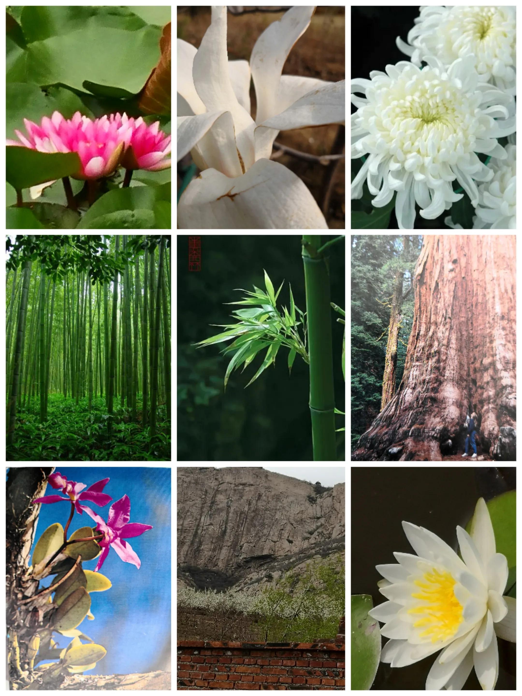 Ask Jie Zitui's story today - iNEWS
