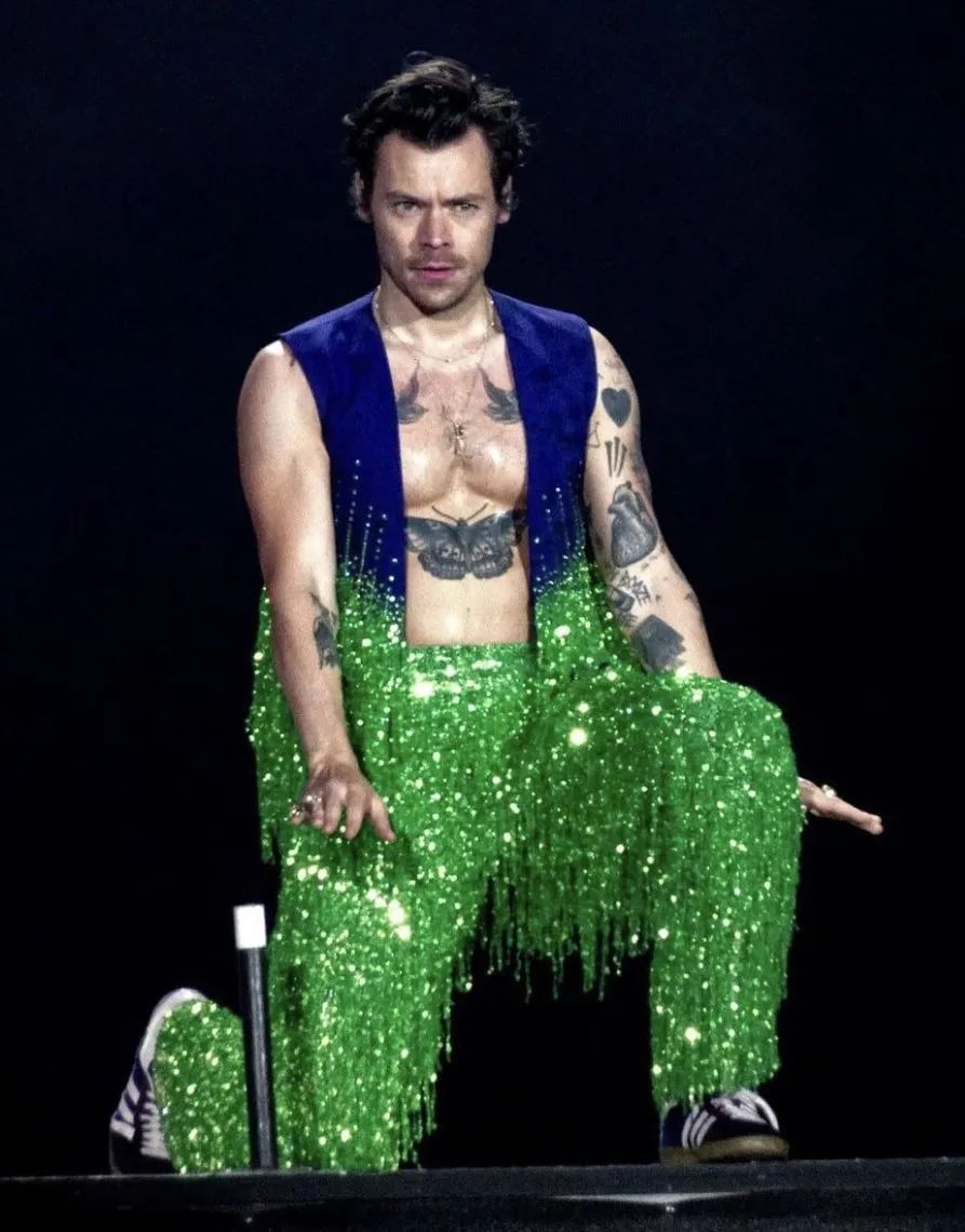Harry Styles Vienna Concert Attacked, Eye Injured! - iMedia