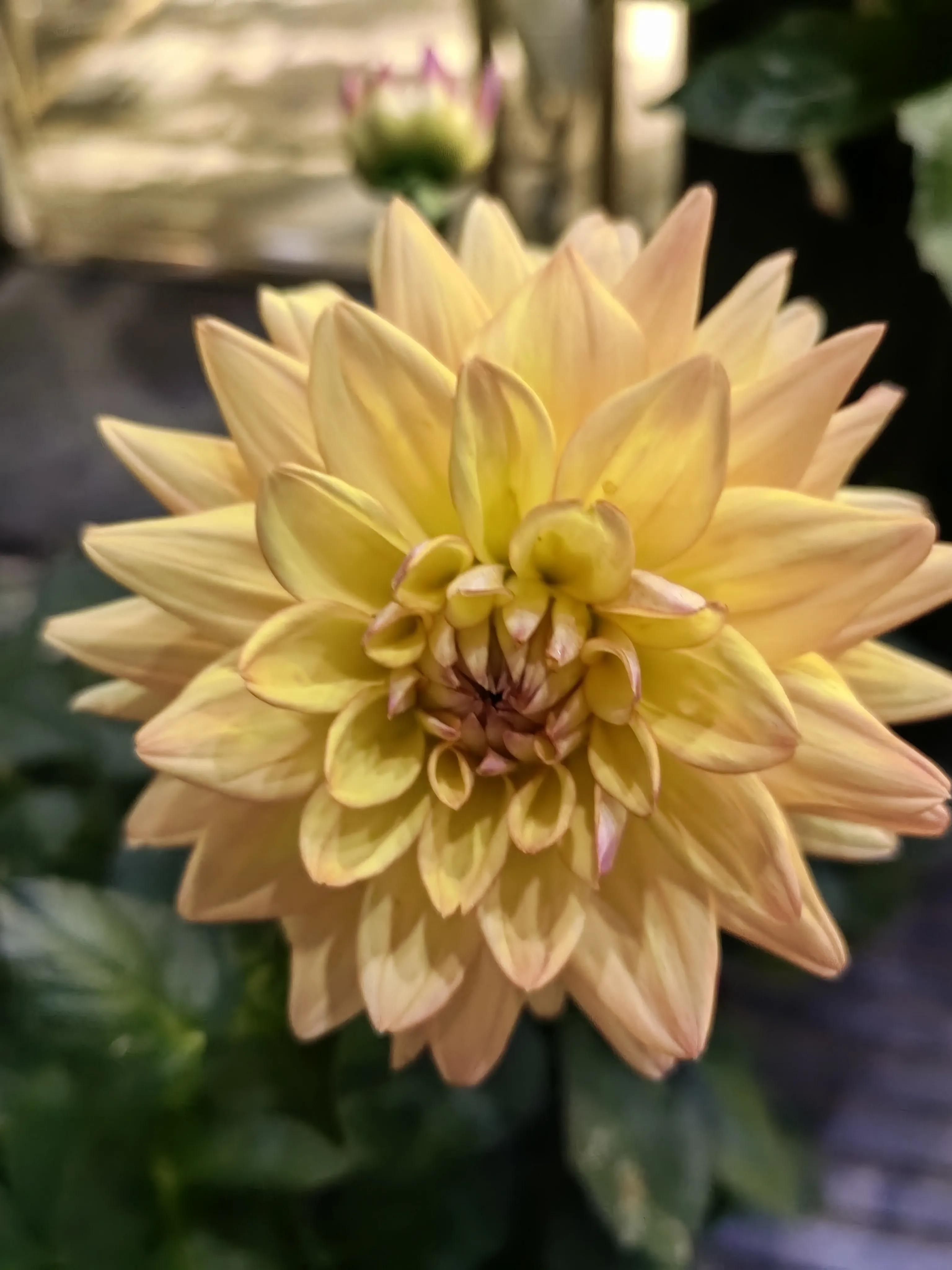 "Su Shu": People's hearts can be seen through time, and true feelings ...