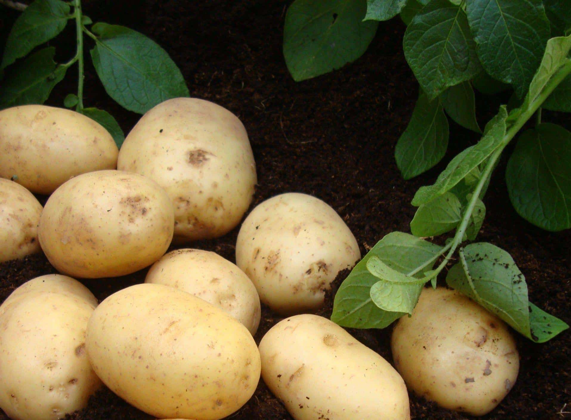 Scientists have figured out how radiation changes the composition of ...