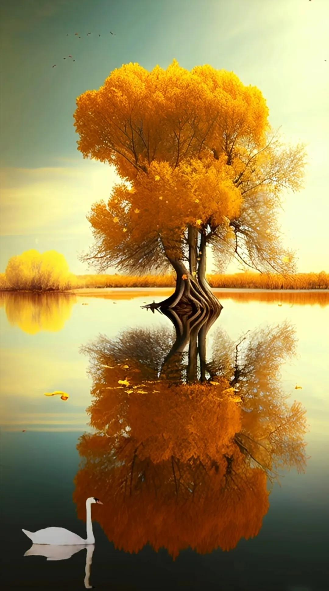 One tree, one beauty - iNEWS